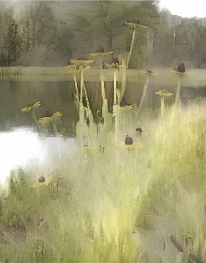 Create Watercolor Paintings of Four Wild Nature Scenes on Fun, Easy, Do ...