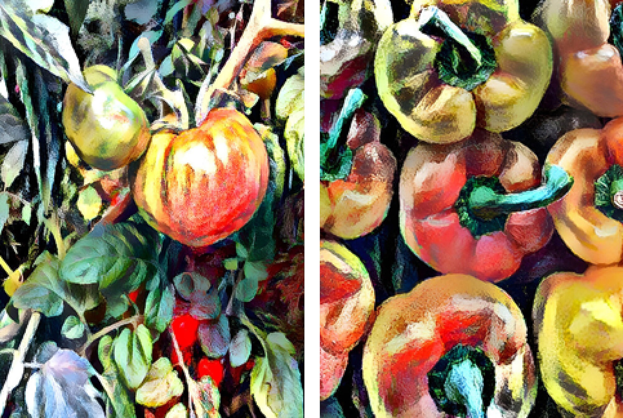Have Fun Creating Your Own Art With Any or All of a Dozen Tinted, Paint ...