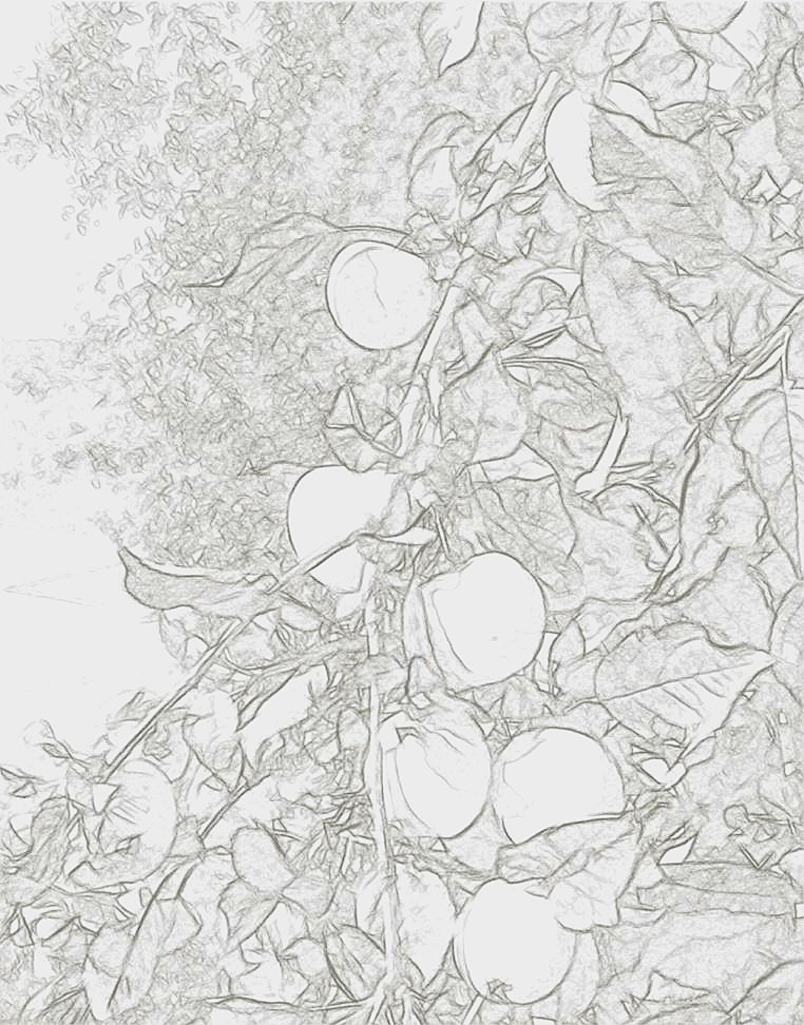 47 DIY Paint-over Sketches for Your Oils, Watercolors, Acrylics ...