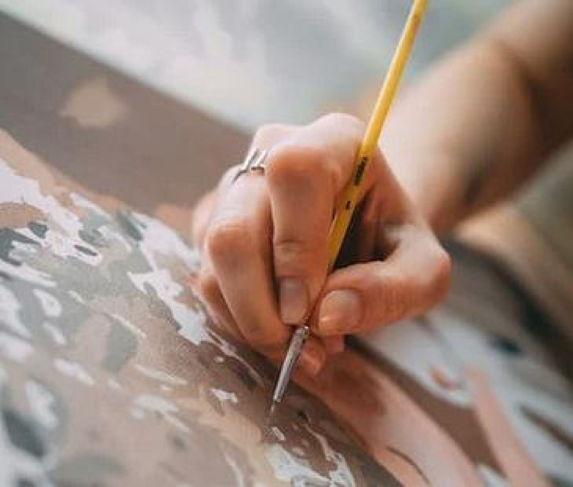 8 Fun DIY Paint-over Sketches of Wildfiowers at the Edge of a Vermont ...