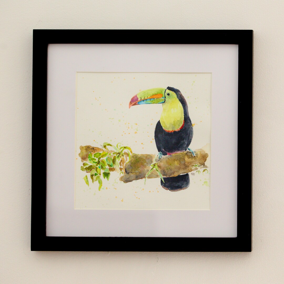 Toucan Bird Watercolour Original Art - Etsy