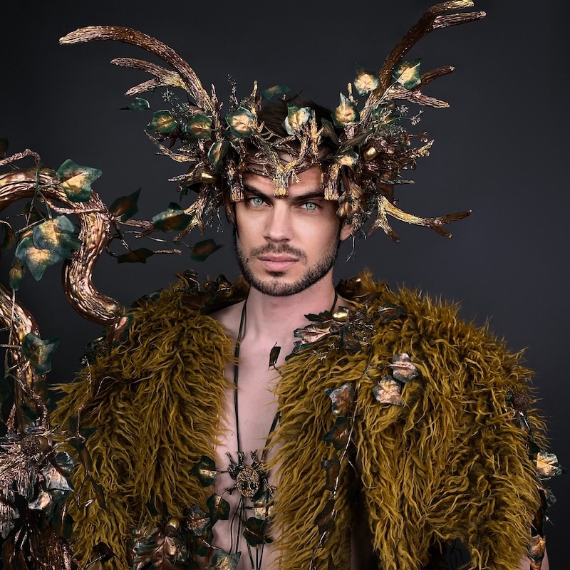 Adult Male Fairy Costume - Etsy