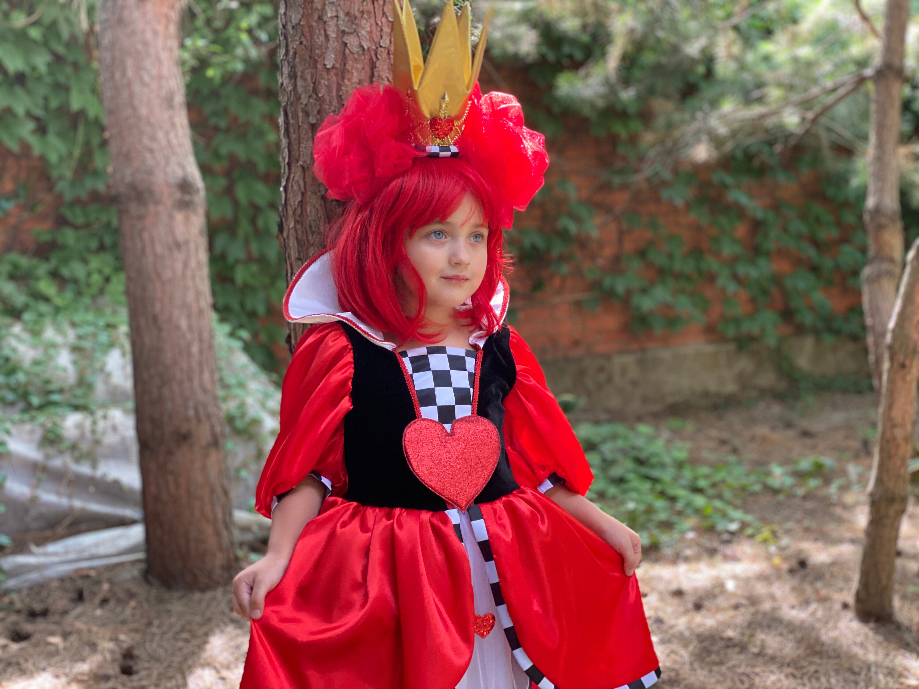 Red Queen Costume Diy