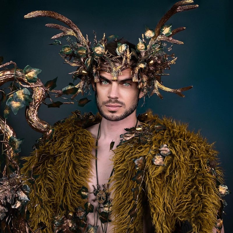 Adult Male Fairy Costume Etsy