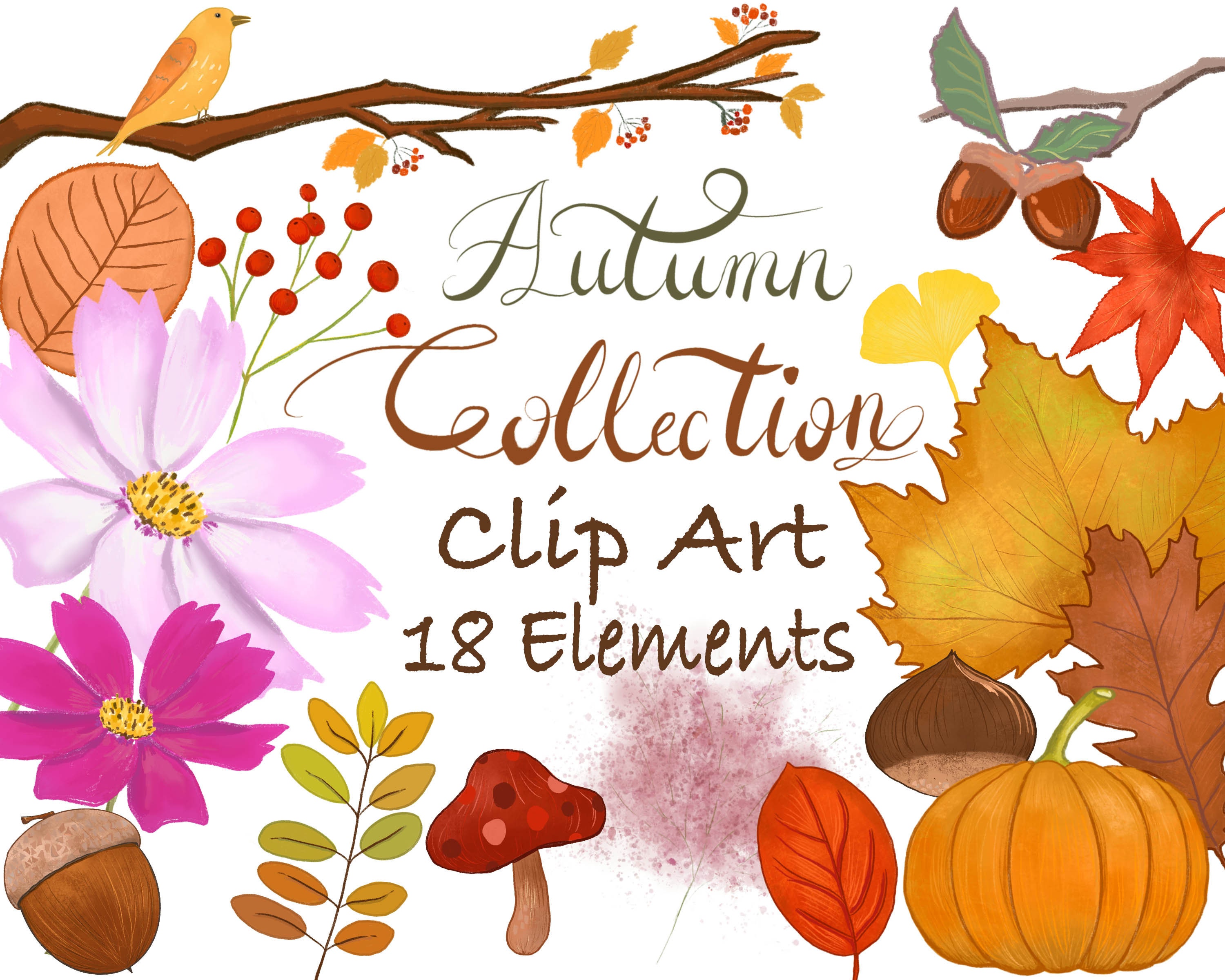 Autumn Clipart, the Fall Clipart, Seasonal, Printable Digital Artwork ...