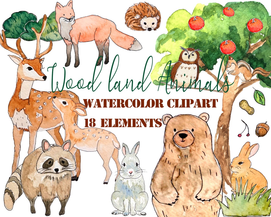 Woodland Baby Animals Clipart, Watercolor Forest Creatures, Baby Shower ...