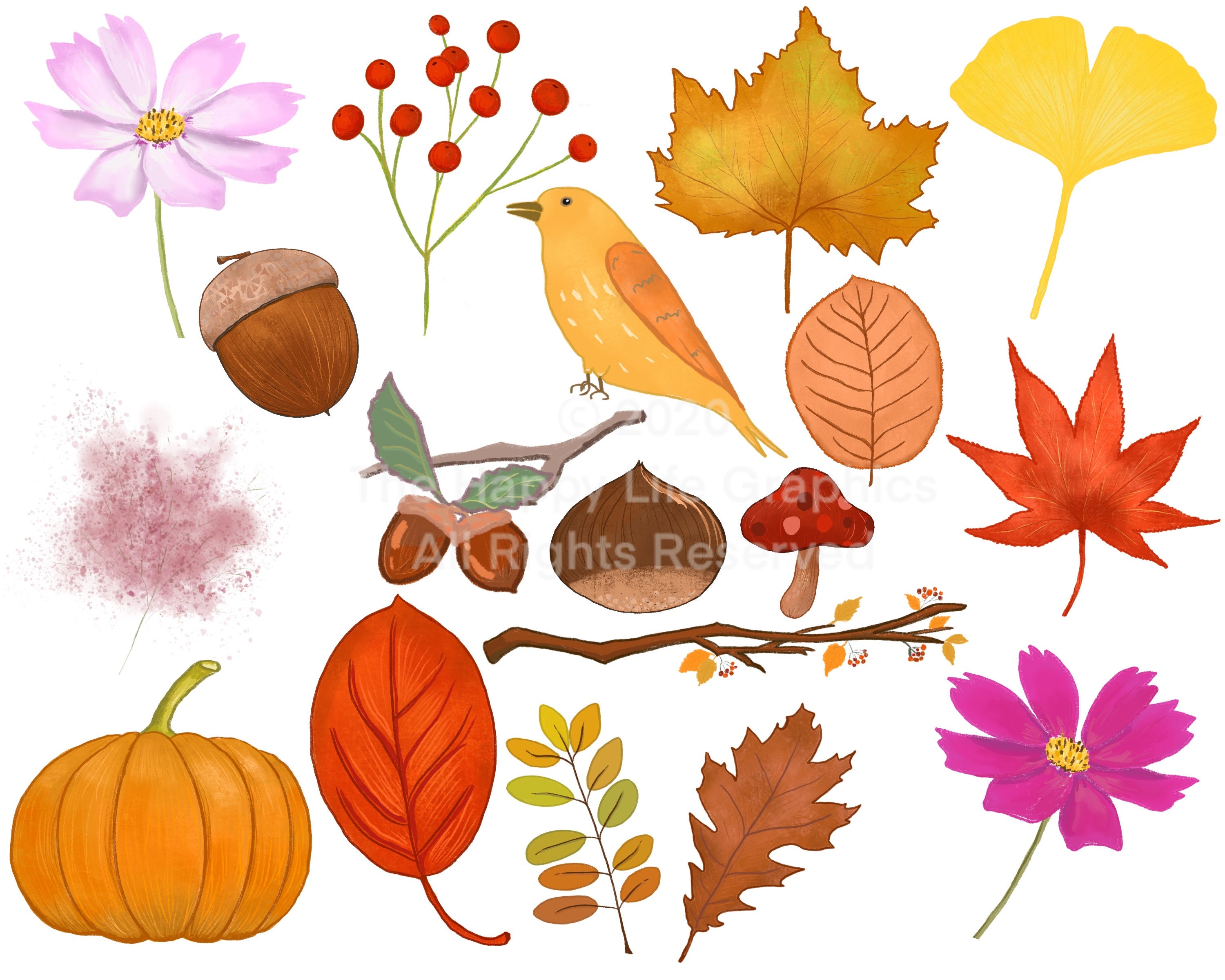 Autumn Clipart, the Fall Clipart, Seasonal, Printable Digital Artwork ...