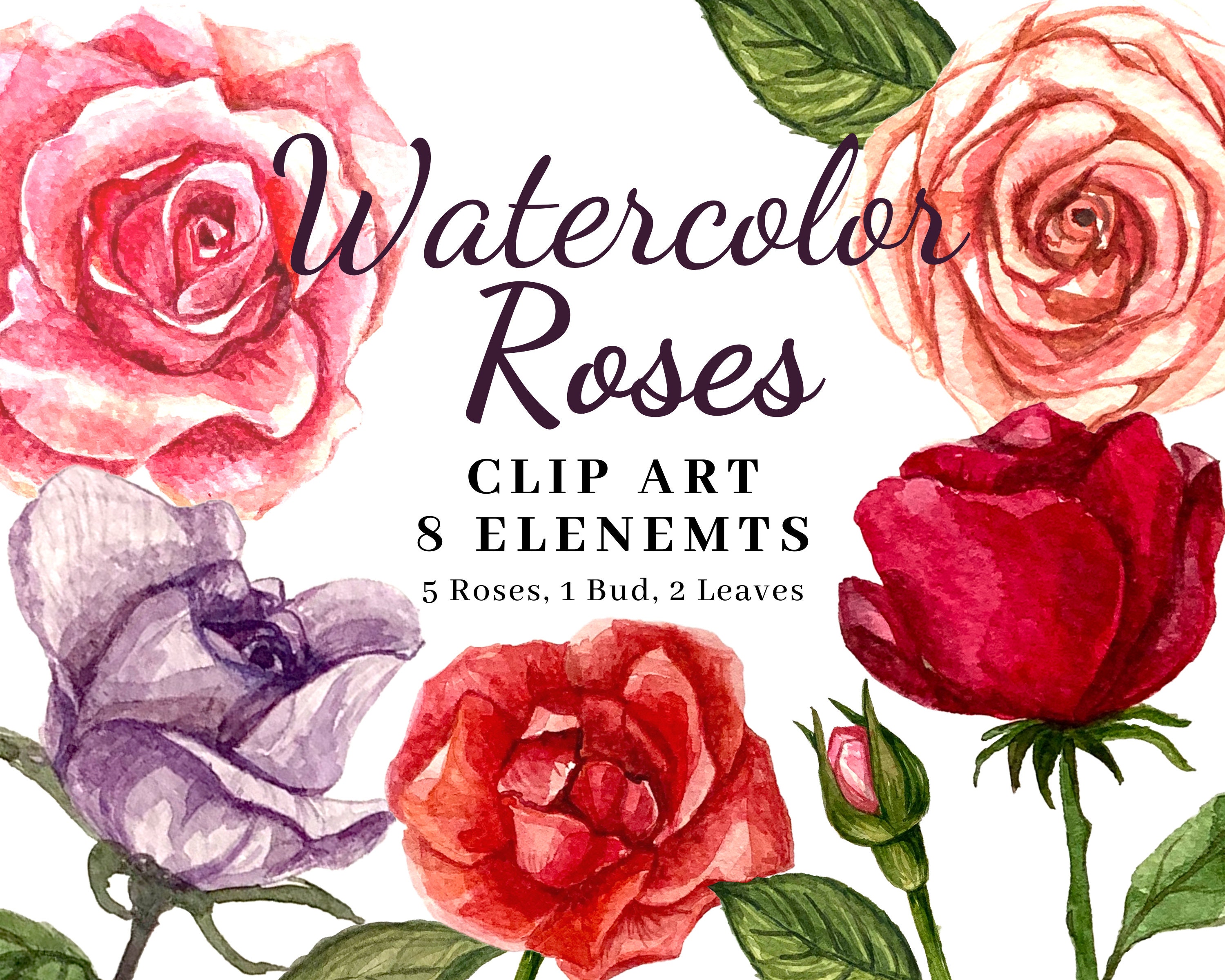 Watercolor Roses Clip Art, PNG, Printable Pink, Red, Purple Rose ...