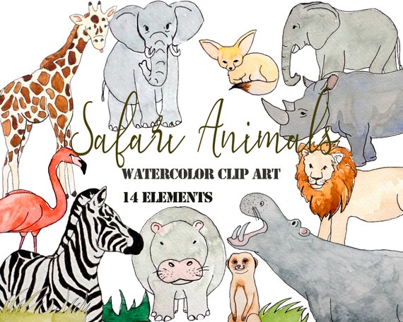 Safari Watercolor Clipart Baby Animals PNG Sticker Zoo - Etsy