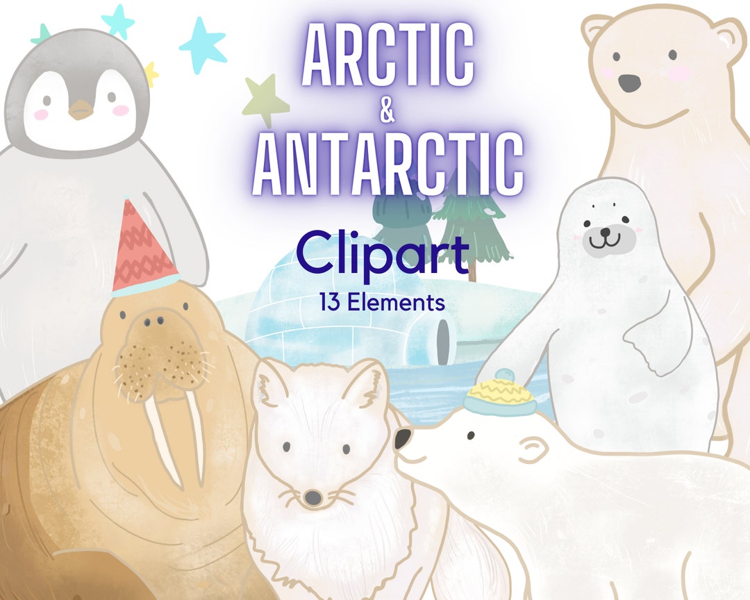 The Arctic and the Antarctic Animals Clip Art, Cute Winter Animals, PNG ...