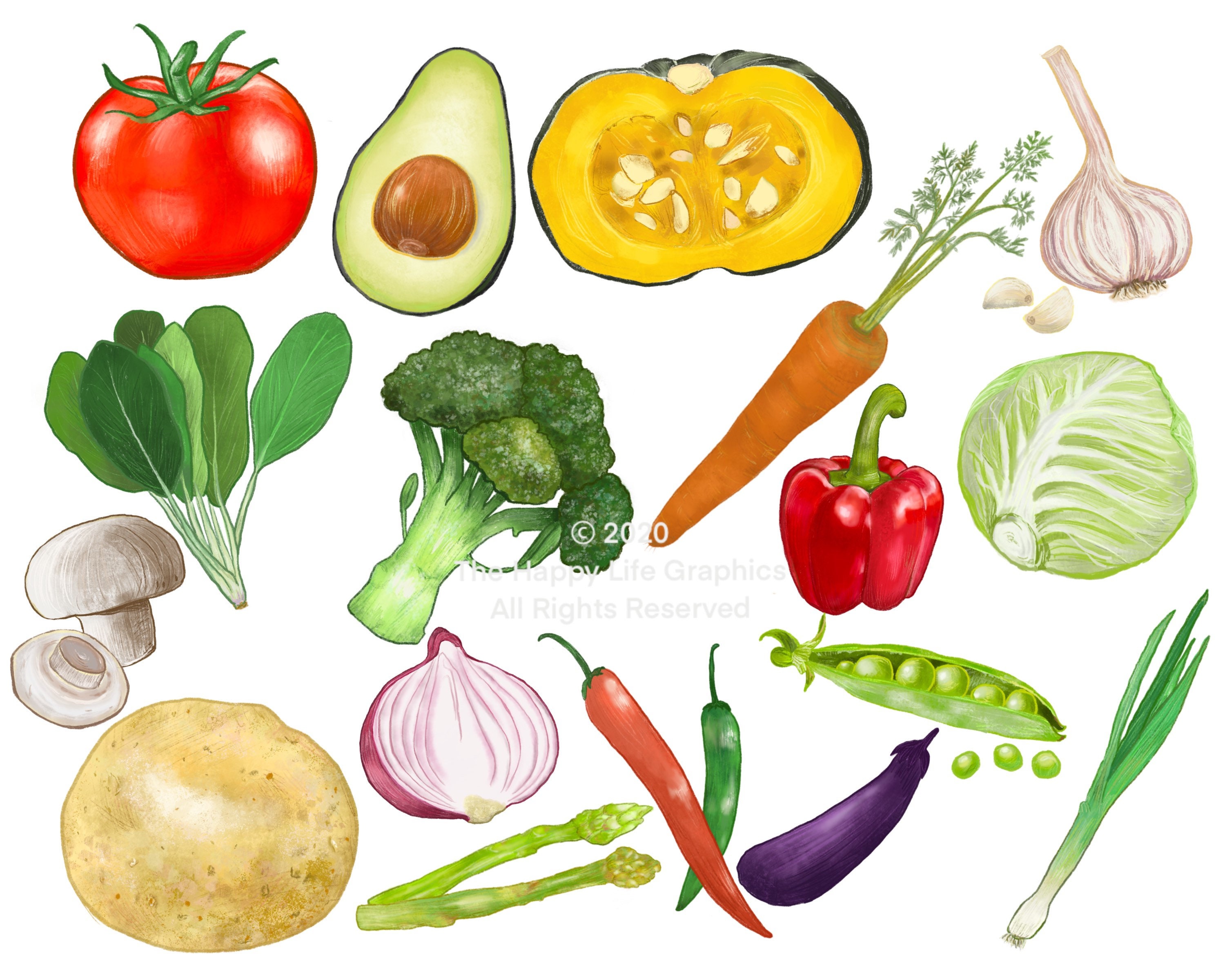 Vegetables Clipart, Printable PNG, Veggie, Vegetarian, Vegan, Eggplant ...