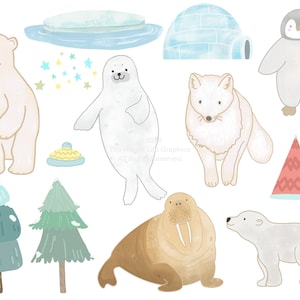 The Arctic and the Antarctic Animals Clip Art, Cute Winter Animals, PNG ...