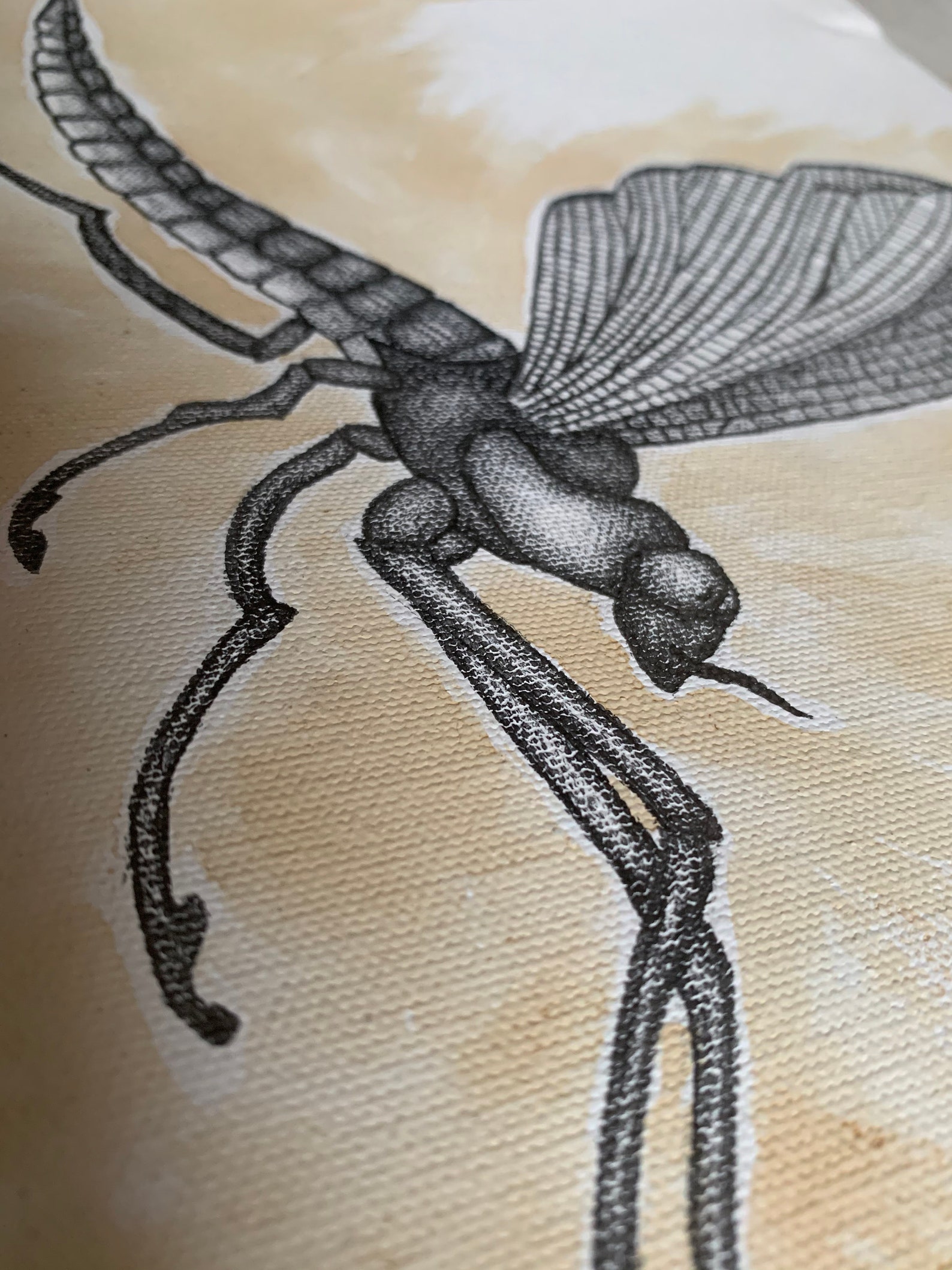 Hand Drawn mounted Mayfly Print Mayfly giclee print fine art | Etsy