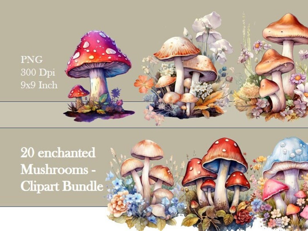 Watercolor Mushroom Clipart Set 20 PNG Images, Digital Toadstools ...