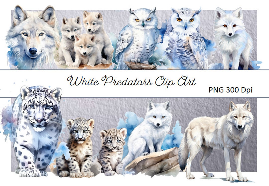 White Predator Animals Clipart Set Snow Leopard, Polar Fox, Snow Owl ...