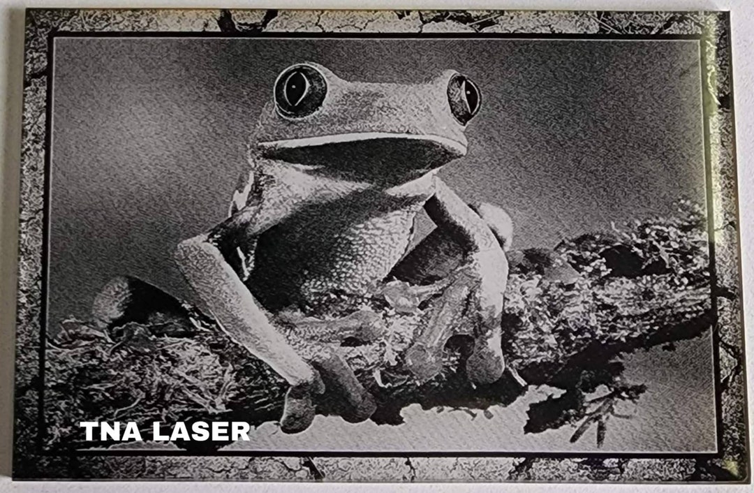 Glowforge Digital Laser Ready Design File - Frog Painted Acrylic ...