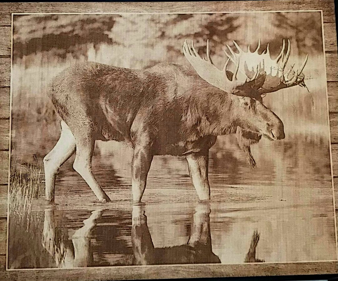 Glowforge Digital Laser Ready Design File - Moose Scenery - Wood ...