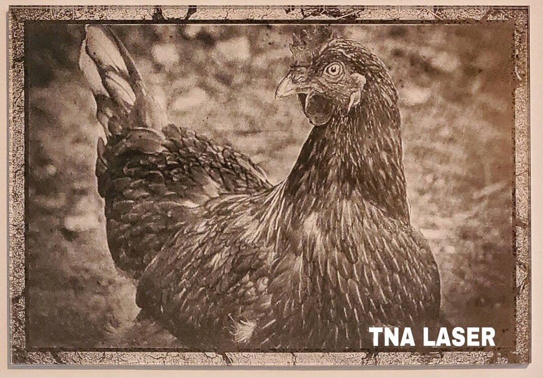 Glowforge Digital Laser Ready Design File - Chicken Painted Acrylic ...
