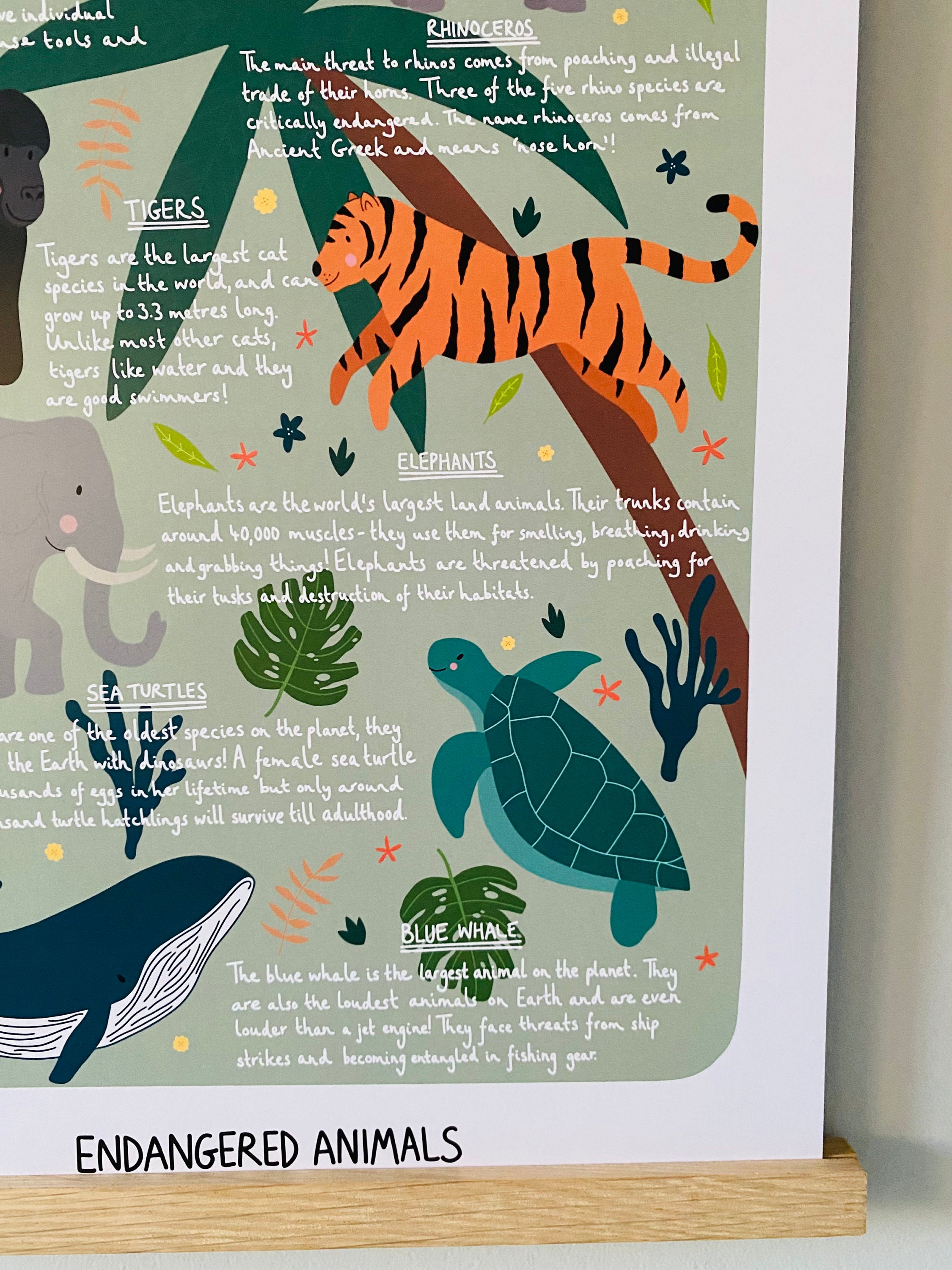 Endangered Animals Poster Kids