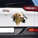 Decal for Food Truck - Trailer Art Decor - Ice Cream Truck Vinyl ...