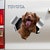 Decal for Food Truck - Trailer Art Decor - Ice Cream Truck Vinyl ...