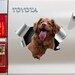 Decal for Food Truck - Trailer Art Decor - Ice Cream Truck Vinyl ...