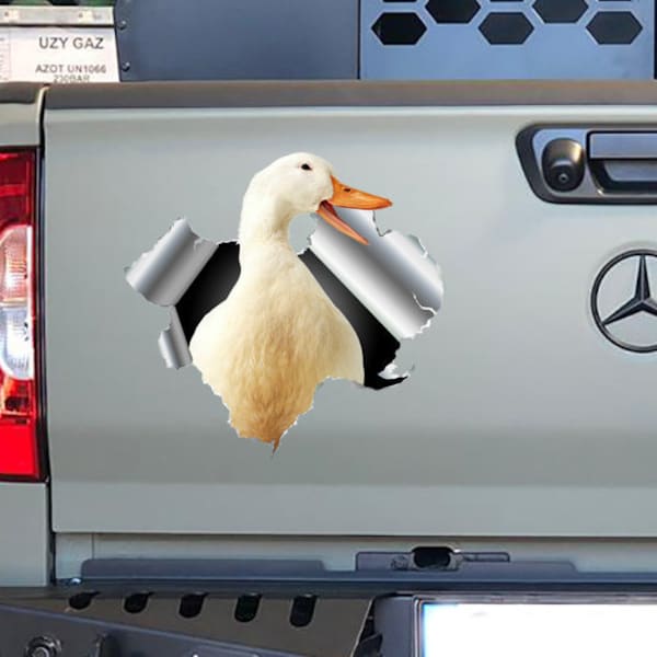 Duck Decals - Etsy