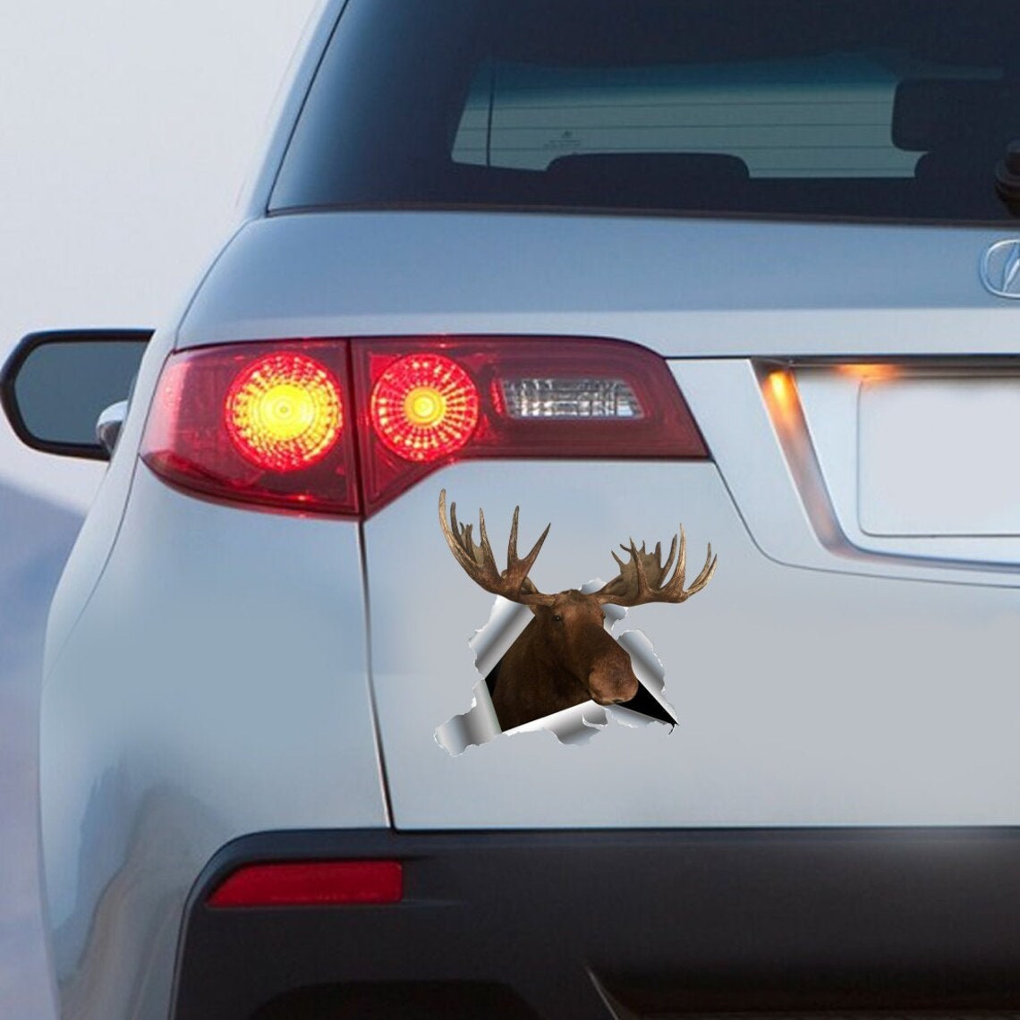 Elk Decal Bumper Stickers Wild Animals Car Animal Decals - Etsy