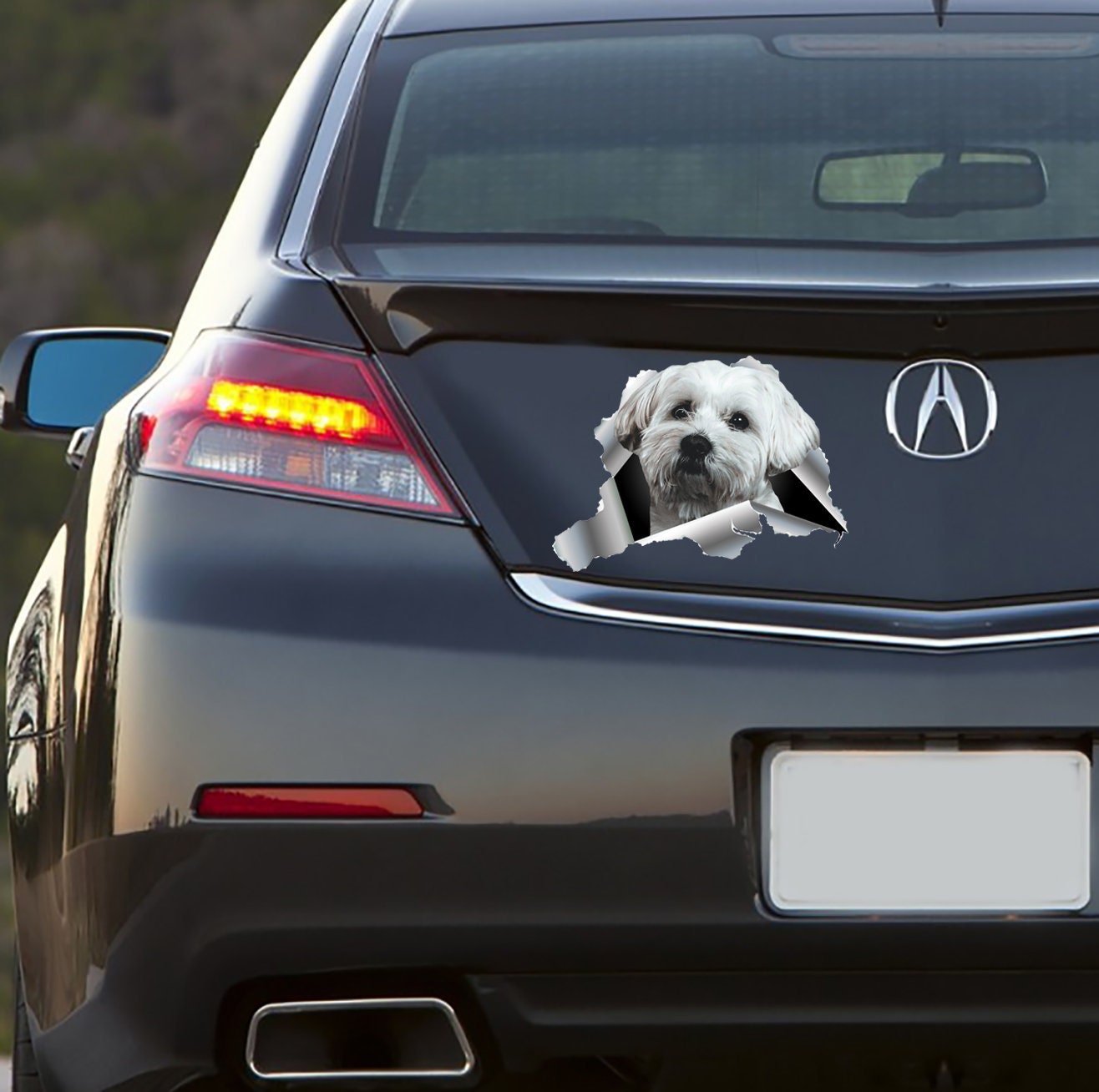 Shih Tzu Car Sticker Dog Car Decal Shih Tzu Decoration Car | Etsy