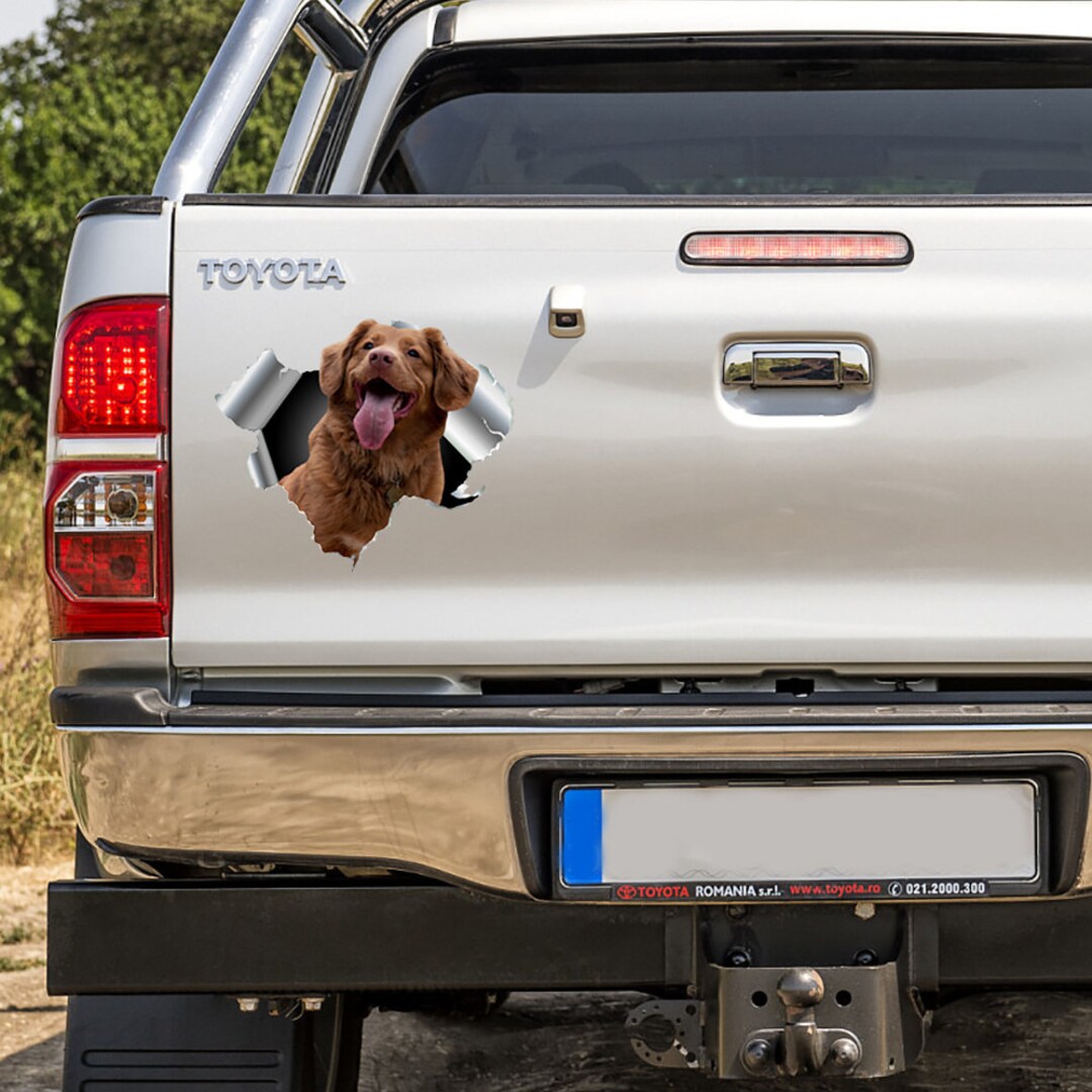 Nova Scotia Duck Tolling Retriever Decal Car, Dog Sticker Vinyl Gift ...