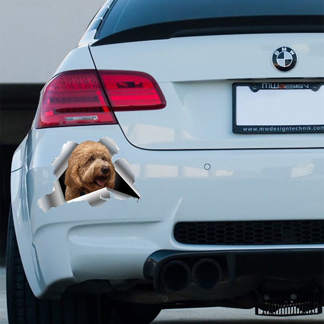 Goldendoodle Car Sticker, Funny Dog Car Decal, Goldendoodle Decoration ...