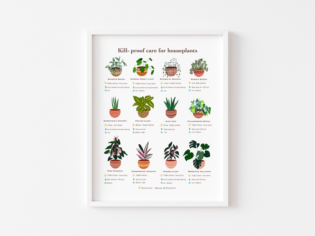 Houseplant Guide, Plant Care Guide, Beginner Plant Chart, Plant Care ...