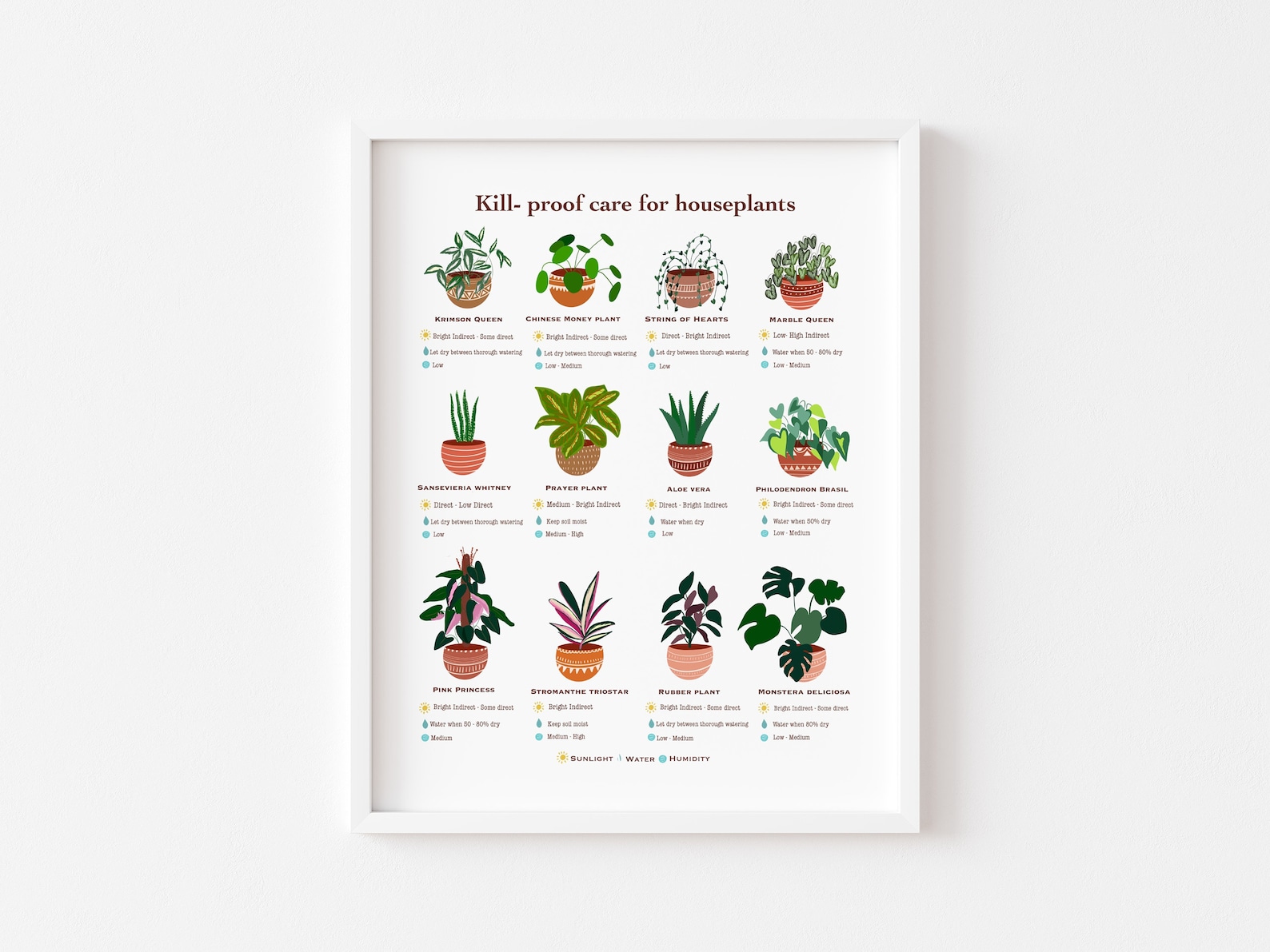 Houseplant Guide, Plant Care Guide, Beginner Plant Chart, Plant Care ...