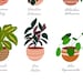 House Plant Art, Bohemian Poster, Wall Decor, Potted Plants, Indoor ...