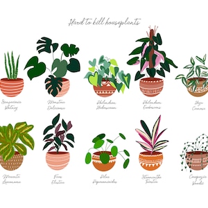 Beginner House Plant Poster, House Plant Addict Poster, Pretty Plants ...