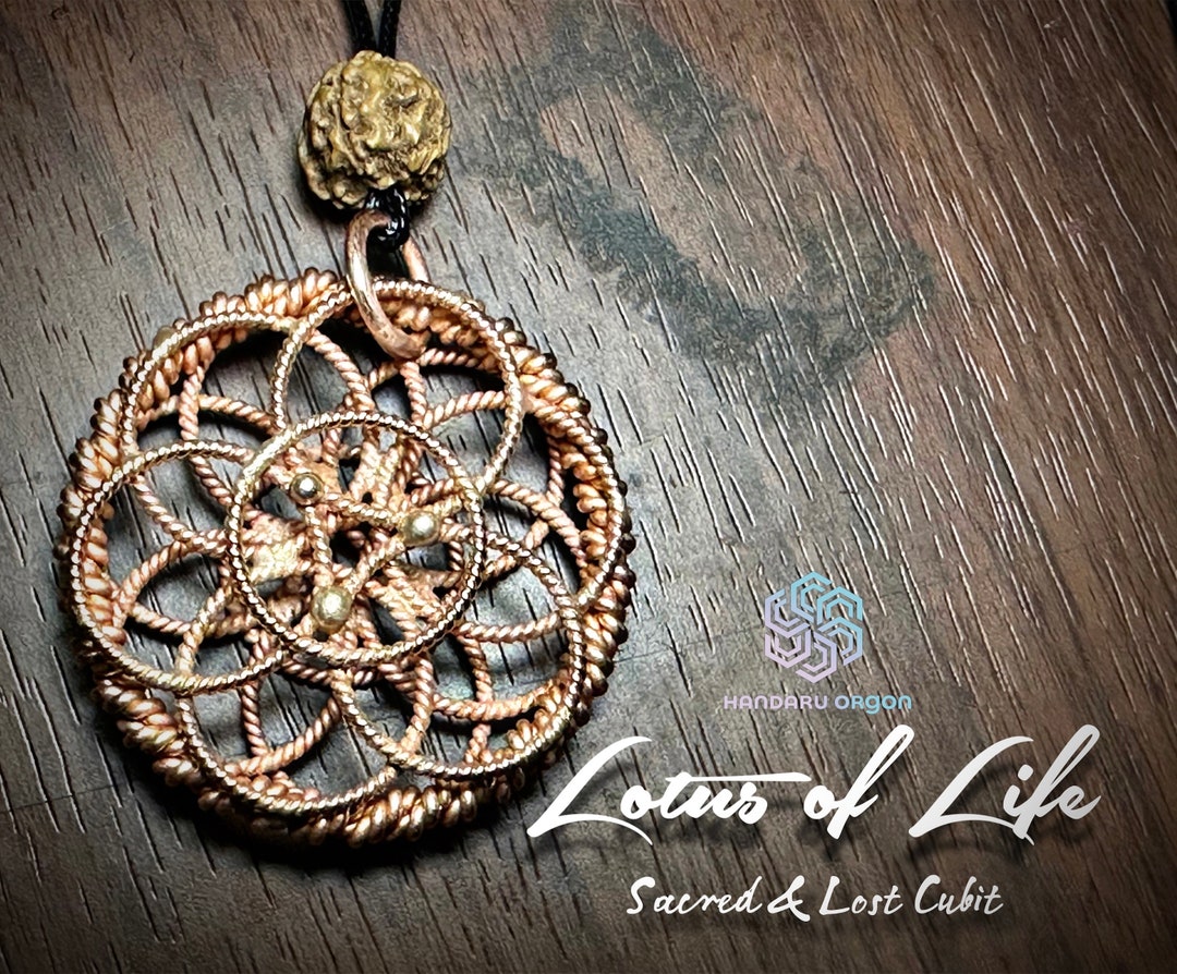 Tensor Ring Torus Lotus of Life sacred & Lost Cubit - Etsy