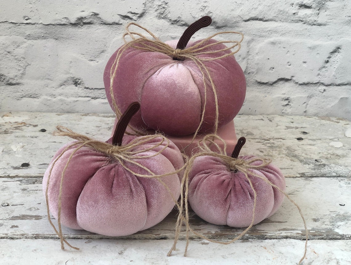Pink Velvet Pumpkins Set Blush Pumpkins Thanksgiving Pumpkin - Etsy