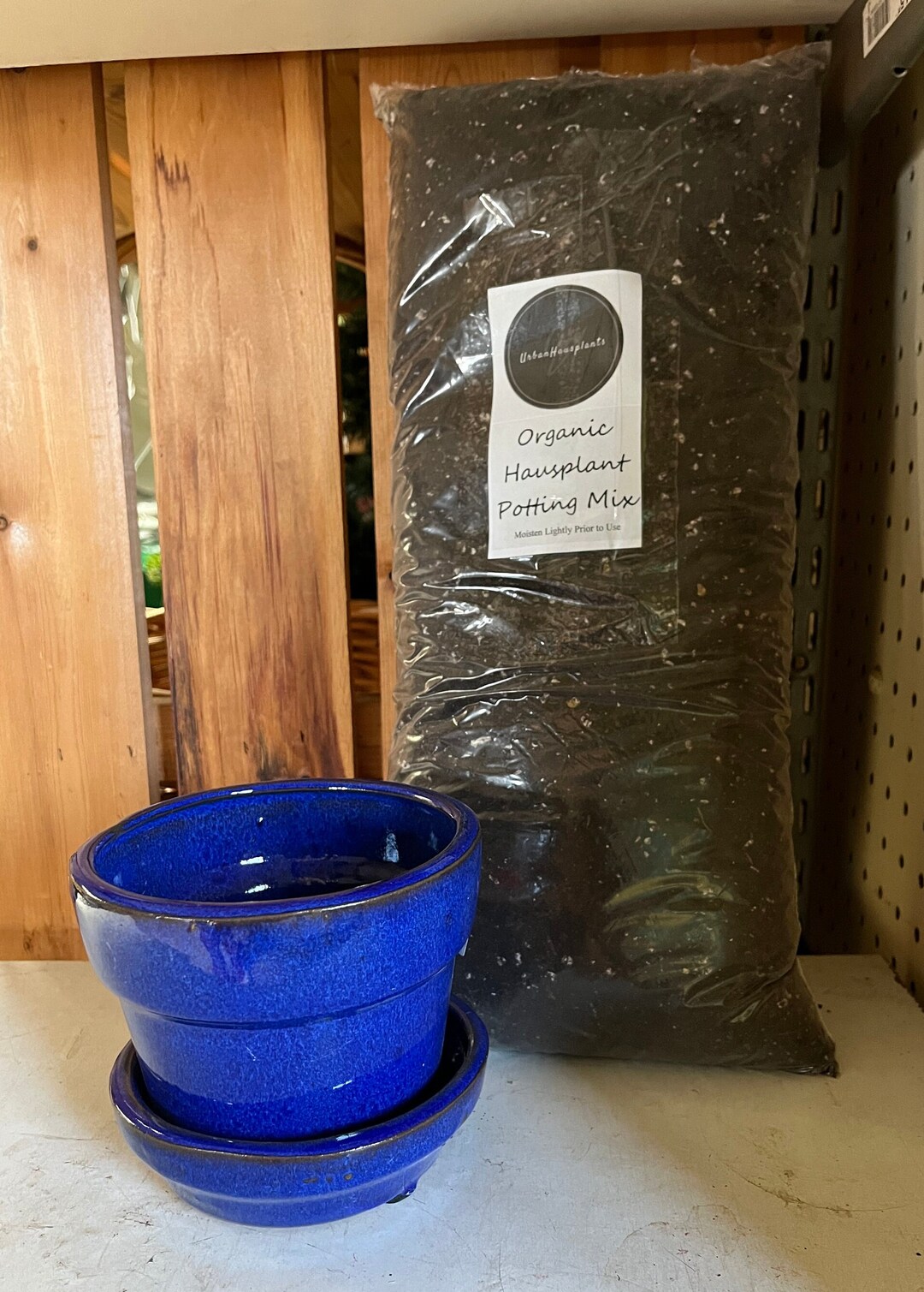 5" Ceramic Pot /planter 5 Inch & Soil Combo - Etsy