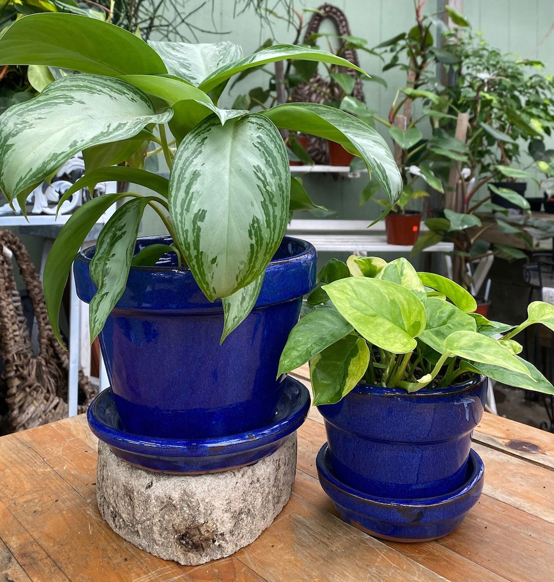 5" Glazed Ceramic Planter/pot Handmade 5 Inch With Drainage and ...