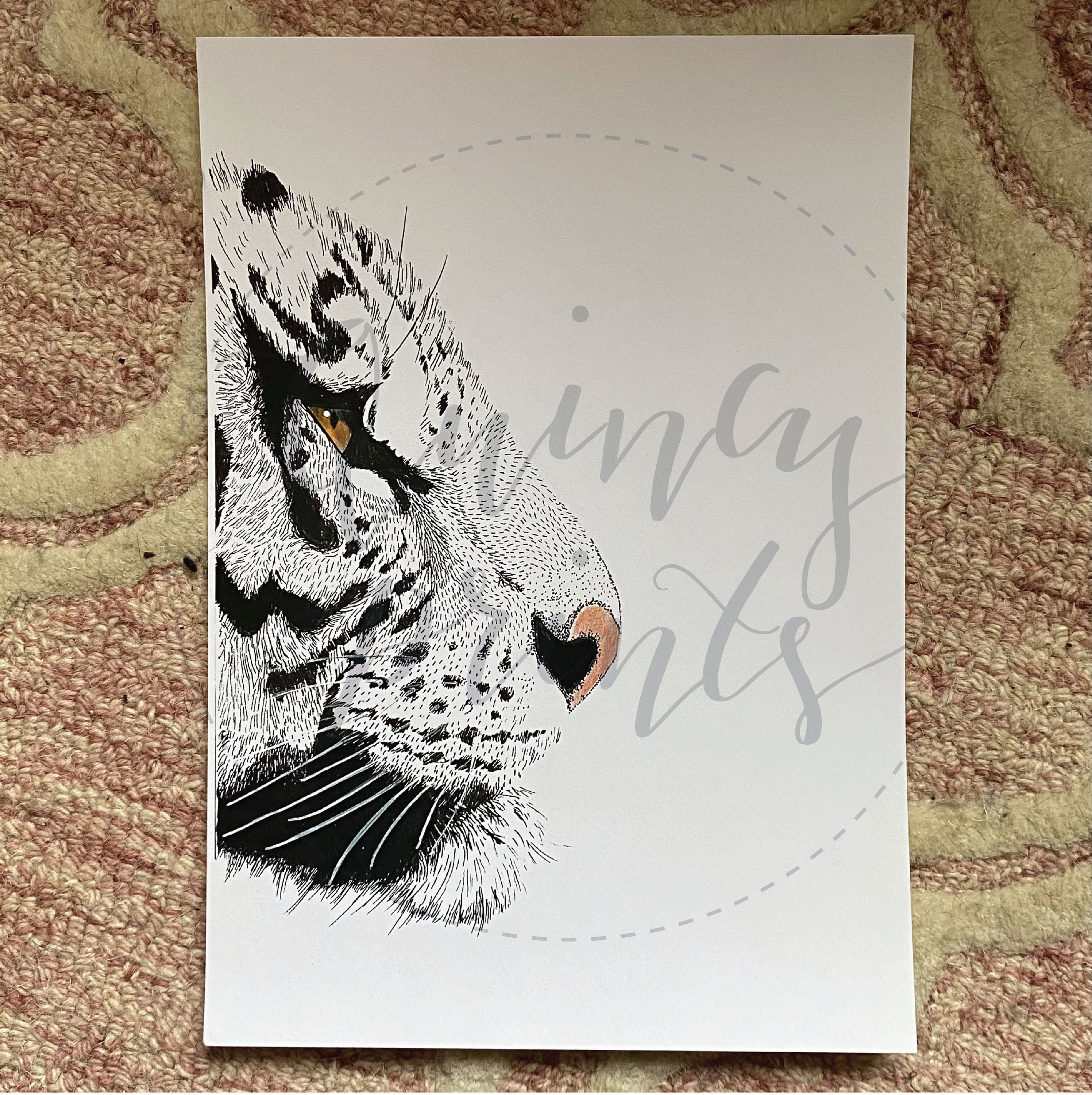 Tiger Profile Drawing