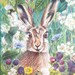Hare Original Art Print Wild Hare Art Print Limited Edition - Etsy