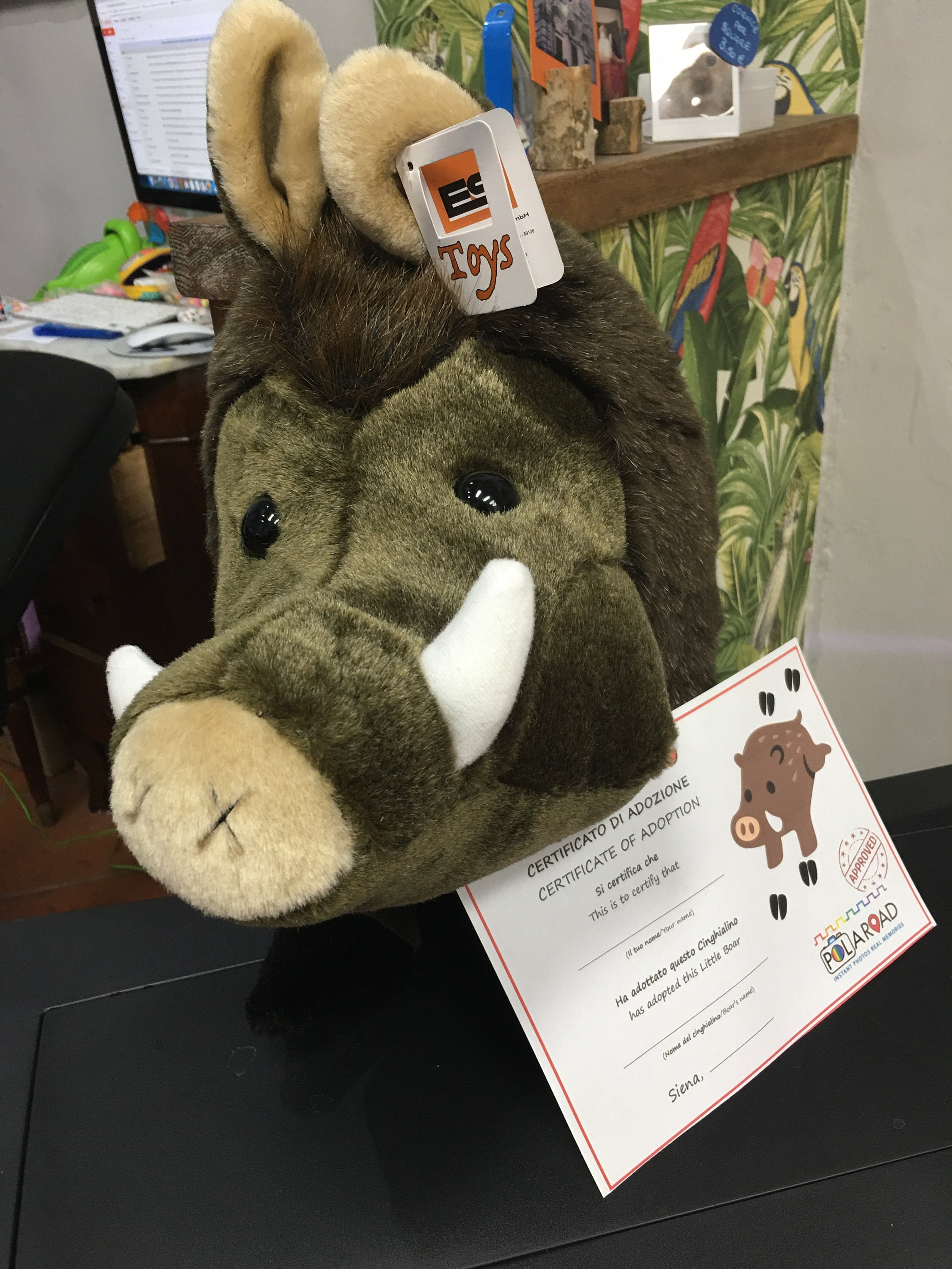 Adopt You Tuscan Boar | Boar Plush | Boar Plush Toy | Adopt a Tuscan ...