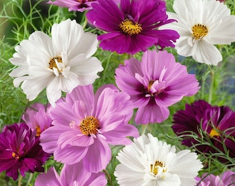 HoneyvaleFarm - Etsy UK