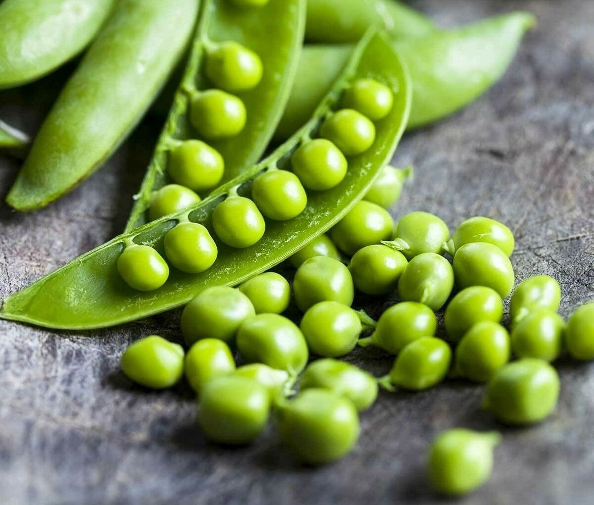15 Onward Pea (marrowfat) Peas - Exhibition Mushy Pea Variety - Etsy UK