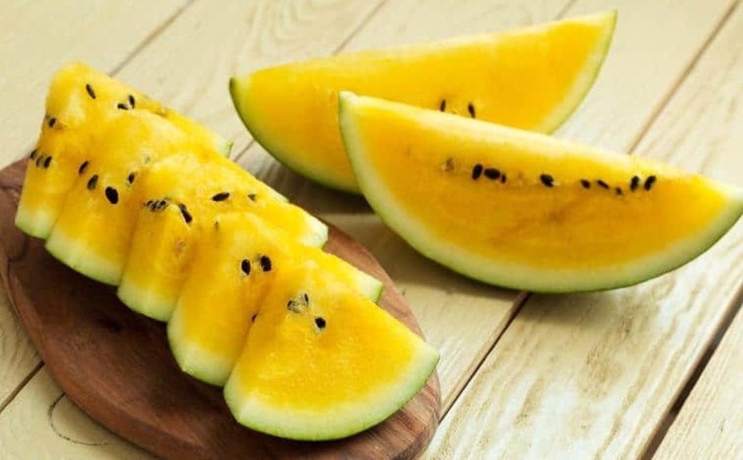 10 Yellow Petite Watermelon Seeds - Etsy UK