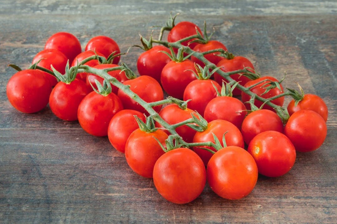 15 Cerise Cherry Tomato Seeds - Etsy UK