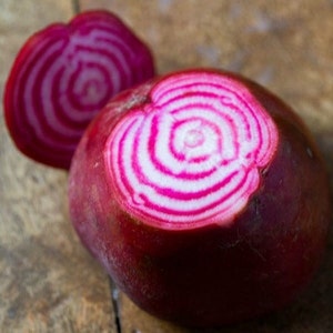 25 Italian Chioggia "candy Stripe" Beetroot Seeds - Etsy UK