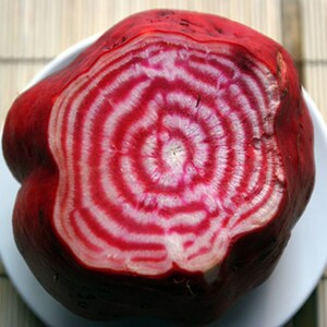 25 Italian Chioggia "candy Stripe" Beetroot Seeds - Etsy UK