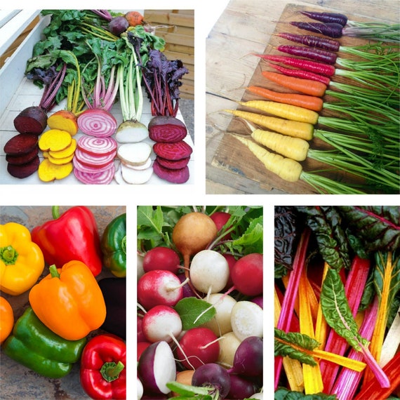 5 Different Packs of Rainbow Seeds Rainbow Carrots Bell - Etsy UK