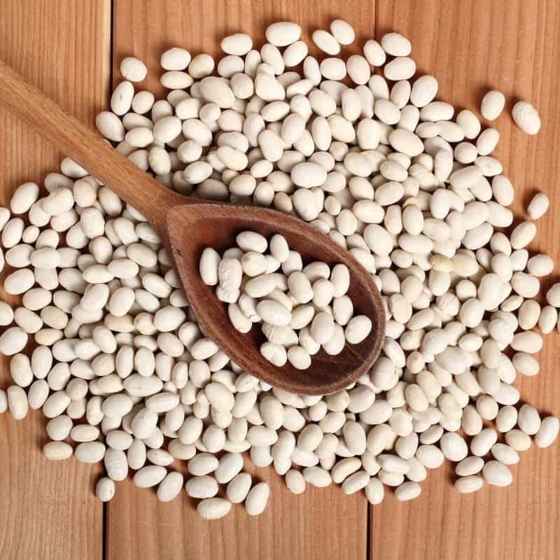 15 Haricot Beans aka Navy & Northern Bean Seeds Dwarf 2 - Etsy UK